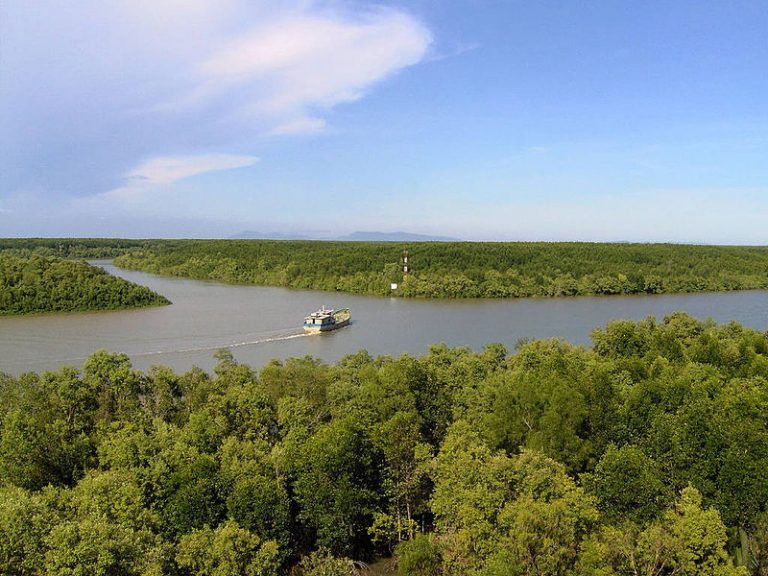 800px-Lo_ren_river – Vàm Sát Ecopark